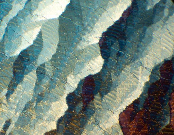 Benefícios do Extrato de Arroz Roxo para a Pele | SkinCeuticals